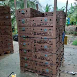 Gira Técnica de Banano Urabá 2019 – Tecnogiras