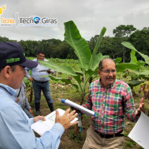 Gira Técnica de Banano Urabá 2019 – Tecnogiras
